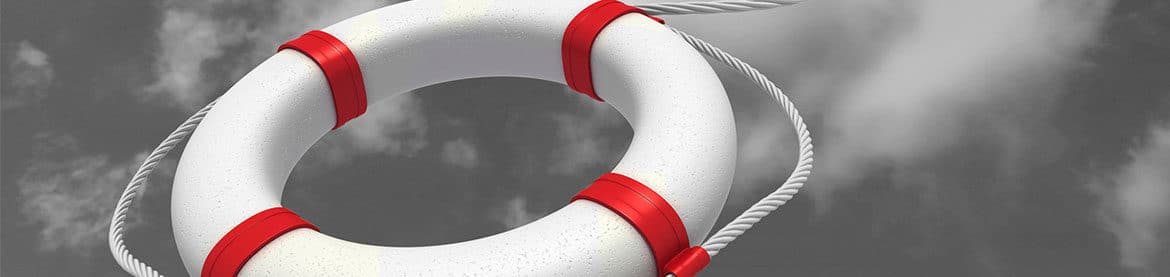Emergency Support Scenarios and Examples: Getting by with a little help ...